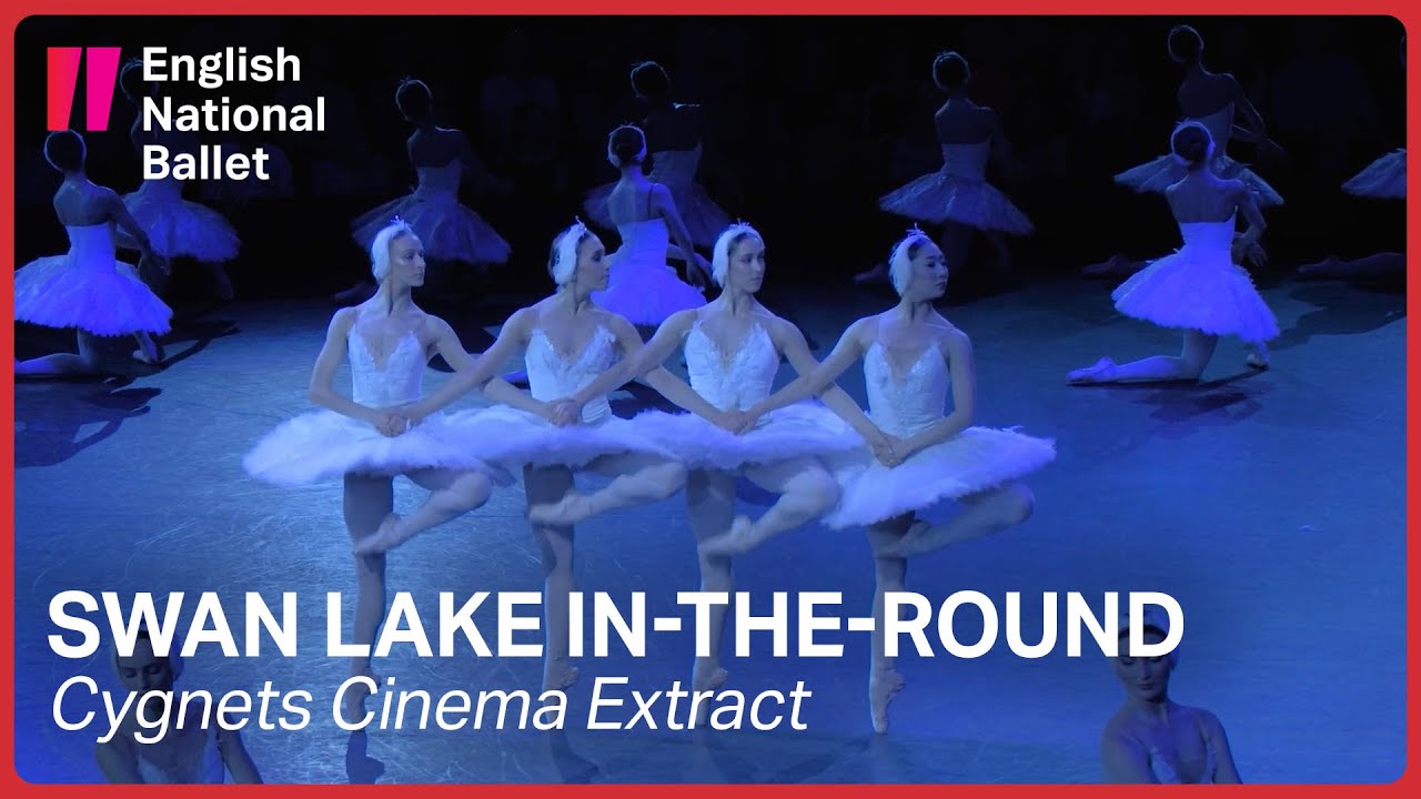 Swan Lake in-the-round: Cygnets Cinema Extract | English National ...