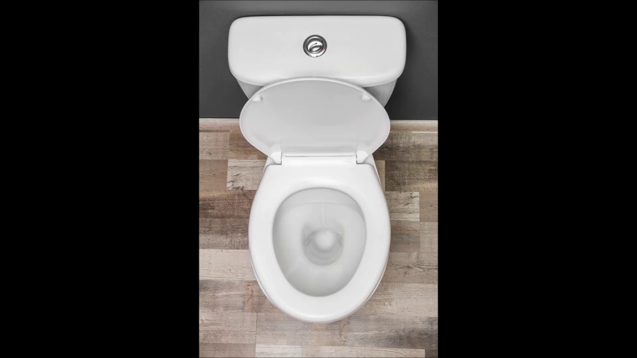 EP 0003 Peeing in a toilet and flushing - YouTube