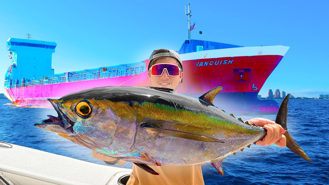 How to Catch Blackfin Tuna Under Giant Cargo Ships! - YouTube