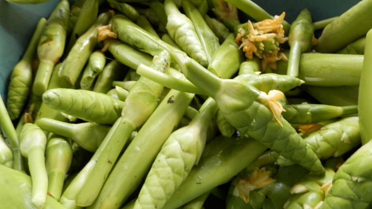 Chufle Chufles Centroamérica - YouTube