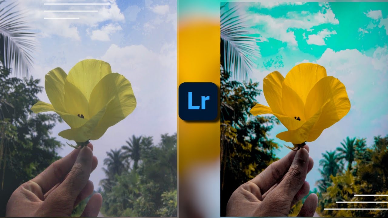 New flower editing to lightroom / simple edit a flower. - YouTube