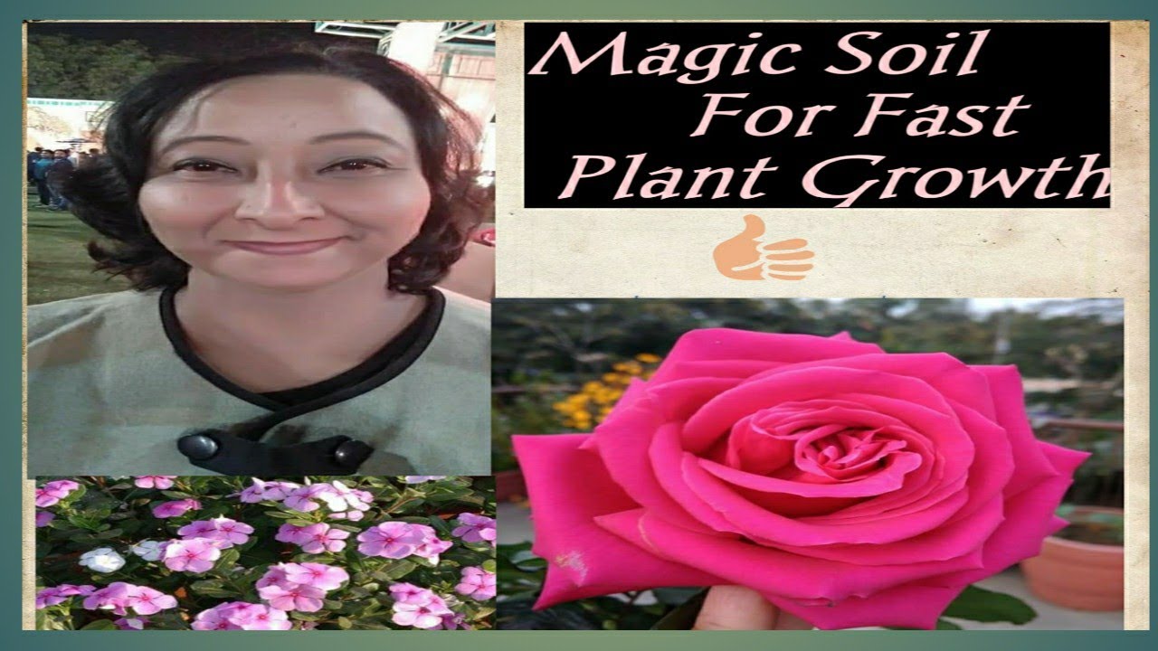 Magic soil for fast plant growth. - YouTube