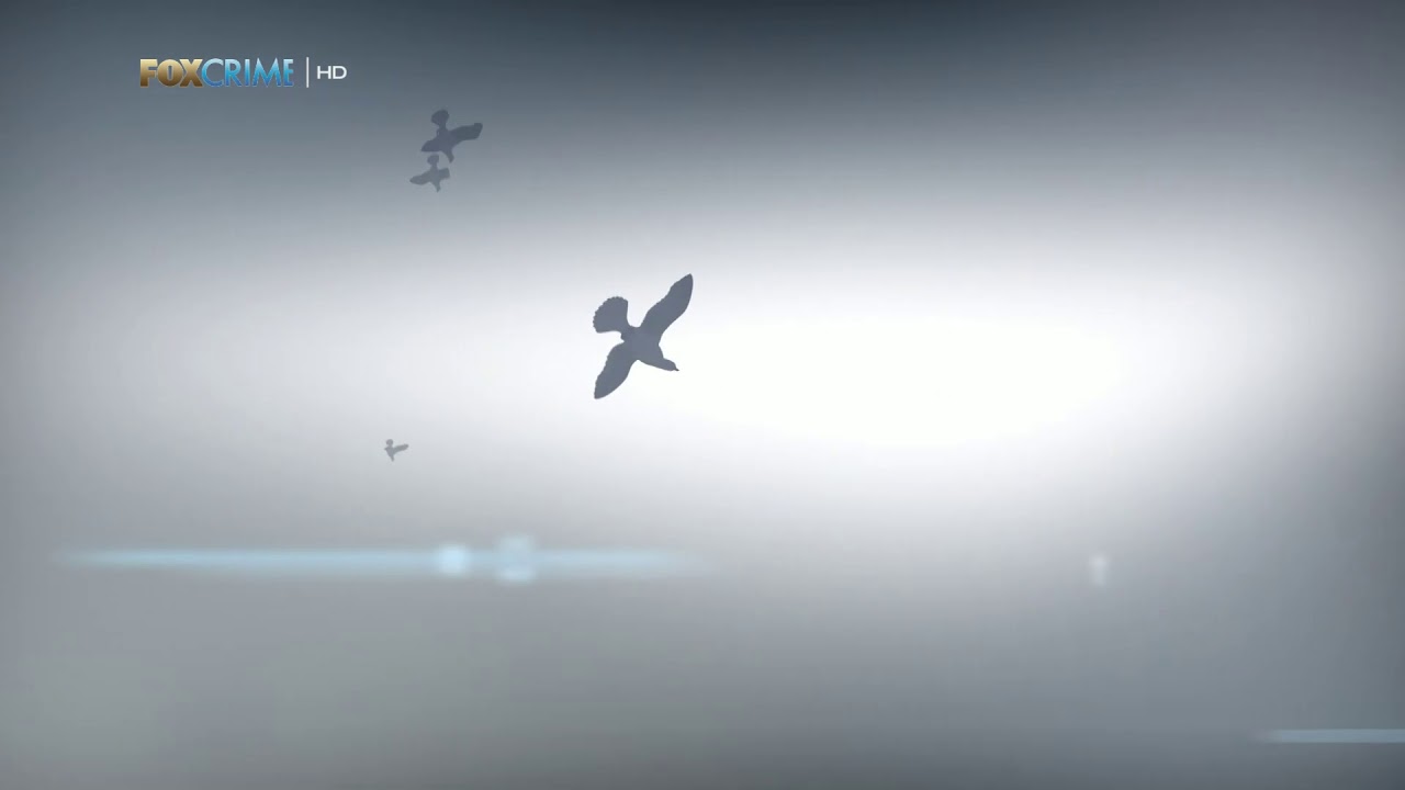 FOX Crime HD ID 2 - YouTube