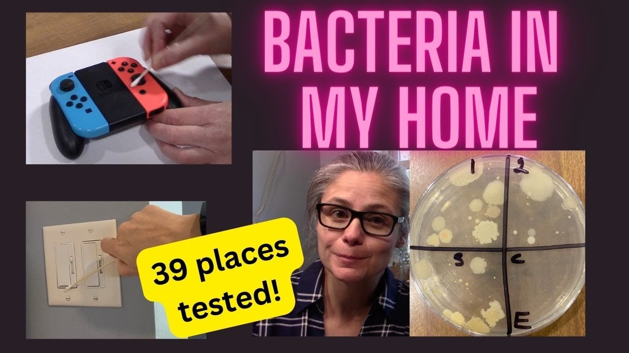 Bacteria in My Home: I sampled 39 places in & around my home to test ...