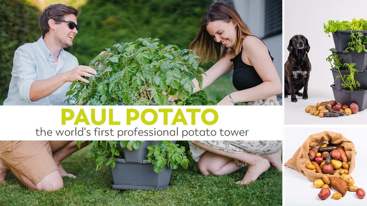 PAUL POTATO - the world's first professional potato tower - YouTube