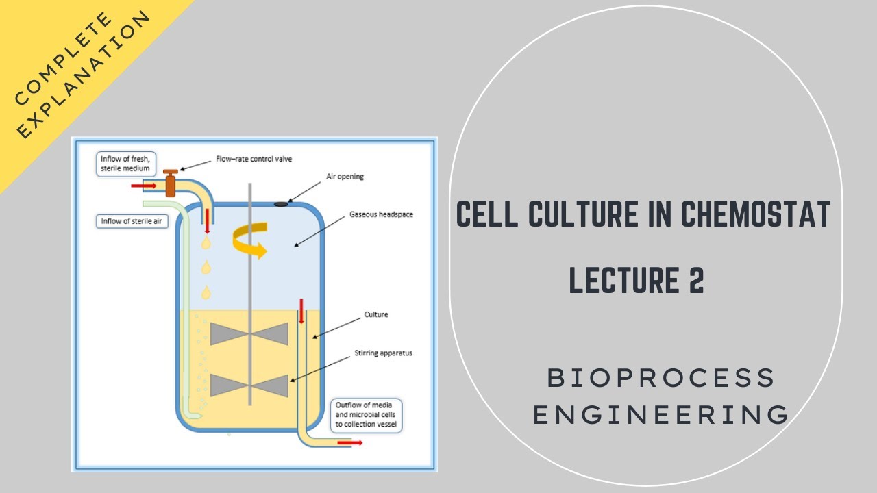 Cell Culture in Chemostat Lecture 2 || Bioprocess Engineering || GATE ...