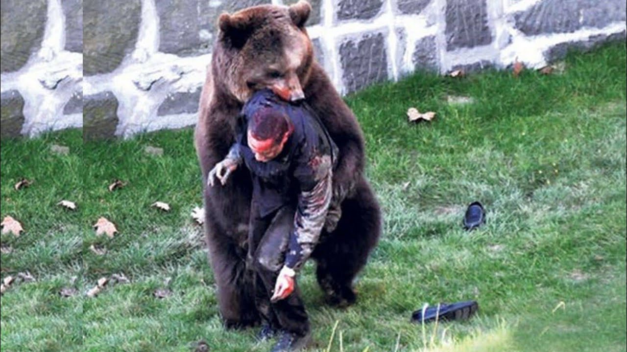 MOST INCREDIBLE BEAR ATTACK MAN CAUGHT ON CAMERA _ BEAR ATTACK SCENE ...