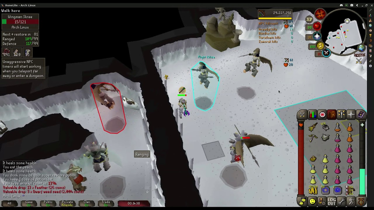Solo Kree'arra/Armadyl For Casuals - OSRS 2019 - YouTube