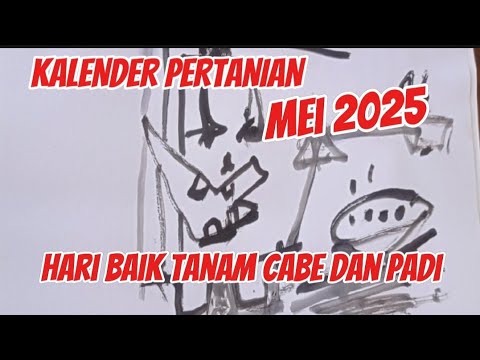 Kalender pertanian MEI 2025 hari baik tanam cabe dan padi - YouTube