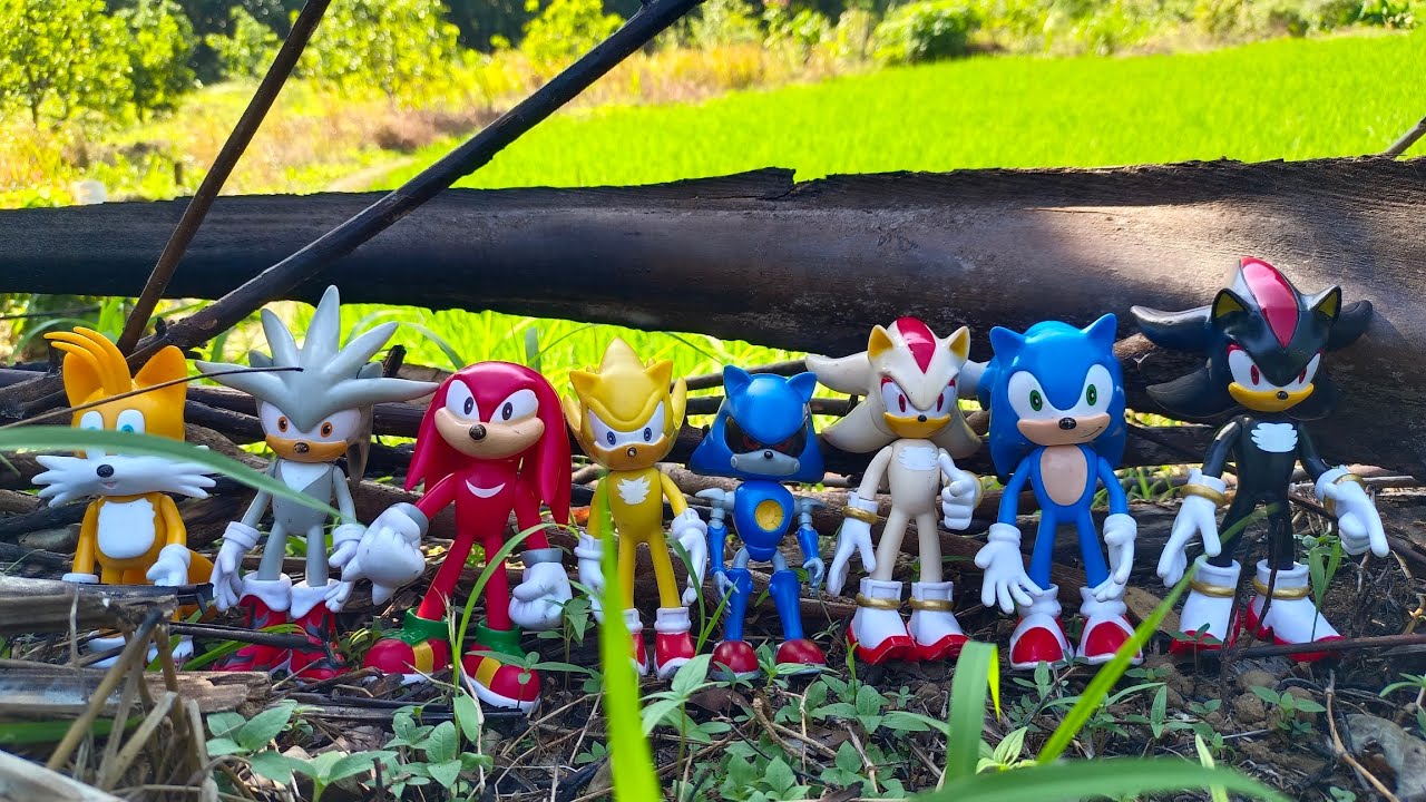 Sonic and Friend/Sonic Silver/Warehog/Metal Sonic/Knuckles/Sonic ...