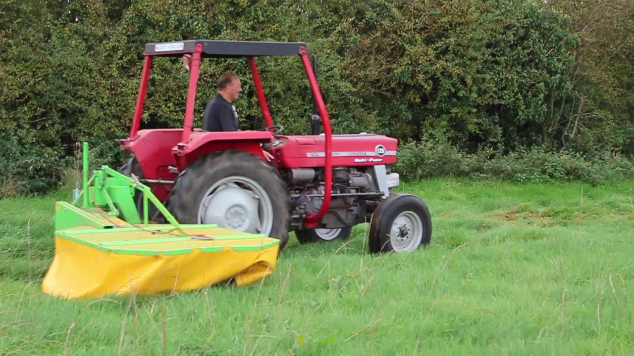 Massey Ferguson 135 Multipower. Mowing short grass with 2 drum mower ...