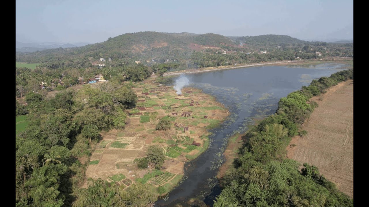 Curtorim’s Agrobiodiversity Powered by its Wetlands Ecosystems ...