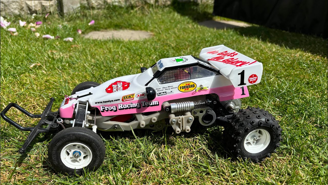 Pink tamiya frog RC buggy 🩷 - YouTube