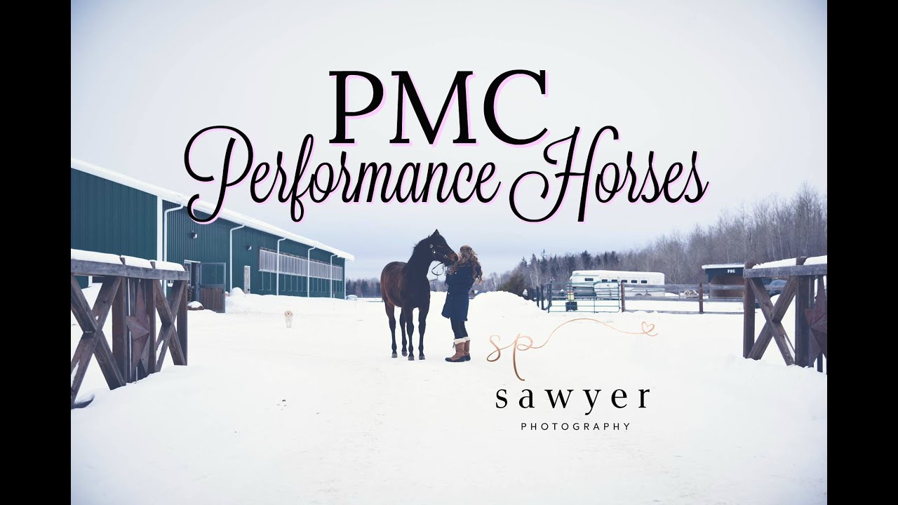 PMC Performance Horses - YouTube