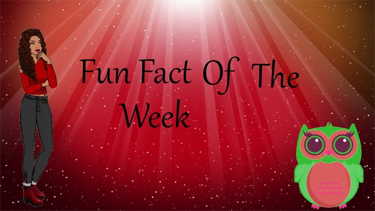 FUN FACT OF THE WEEK : Owls - YouTube