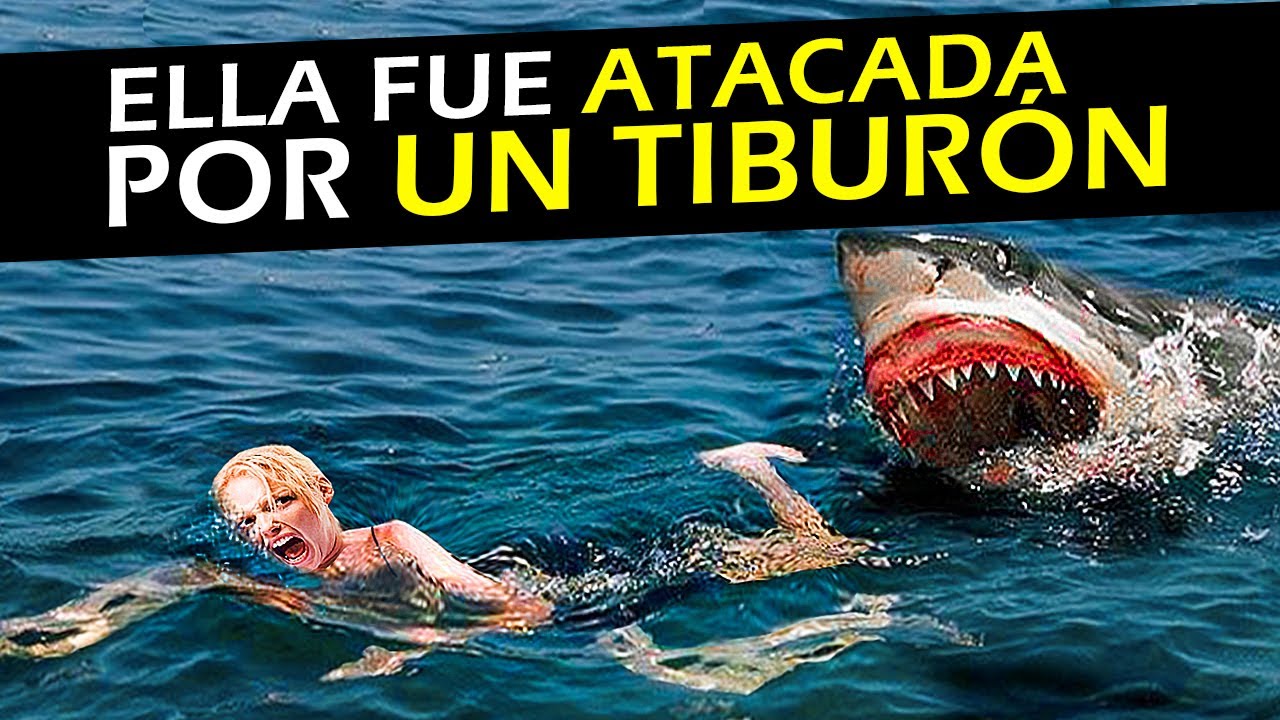 ESTA BELLA MUJER CASI FUE COMIDA POR UN TIBURÓN - El Caso Lisa Mondy ...