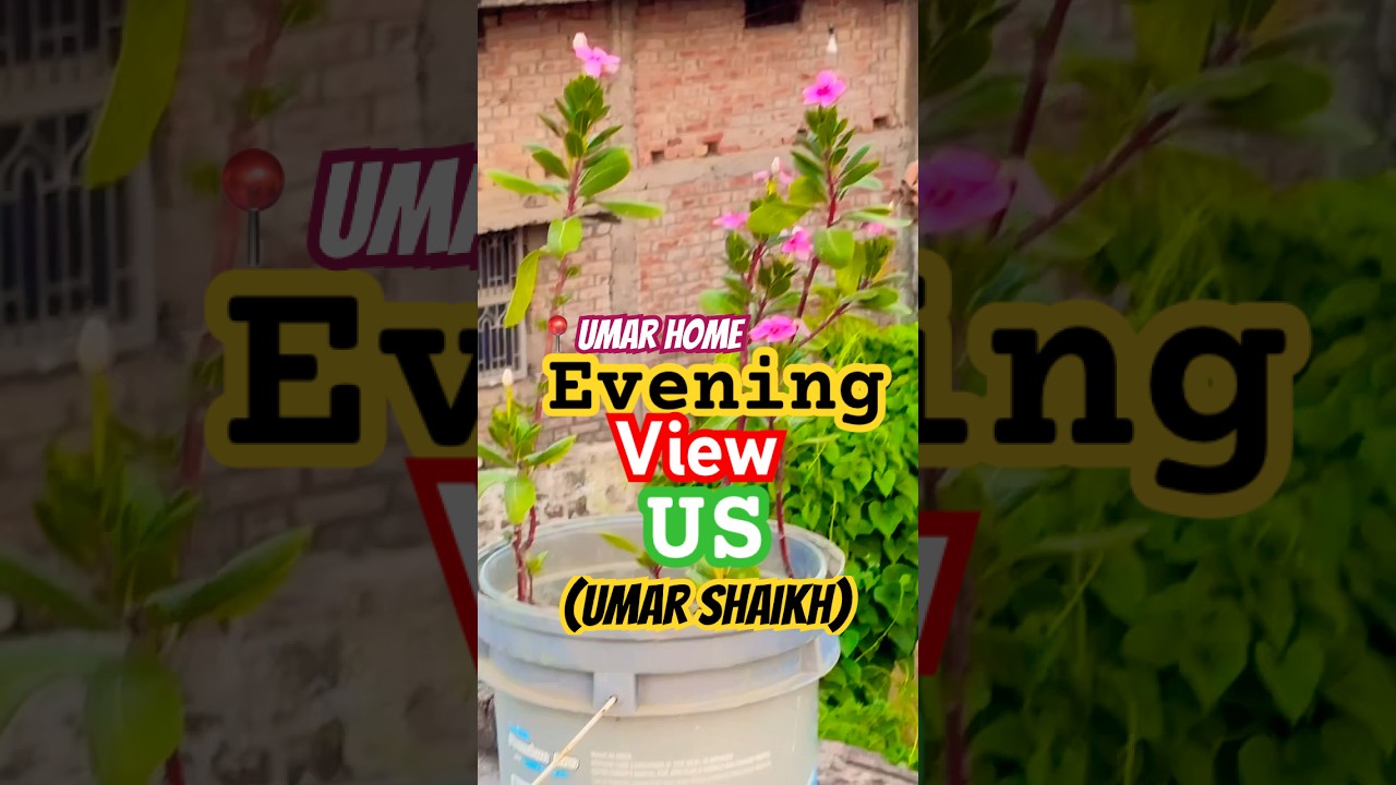 Us ( Umar Shaikh) evening view - YouTube