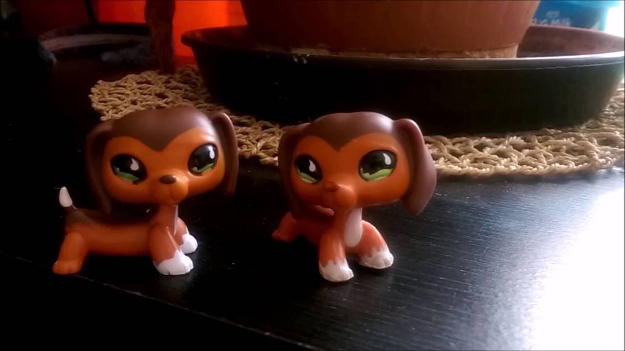 lps pet shop FAKE SAVVY and REAL SAVVY - YouTube