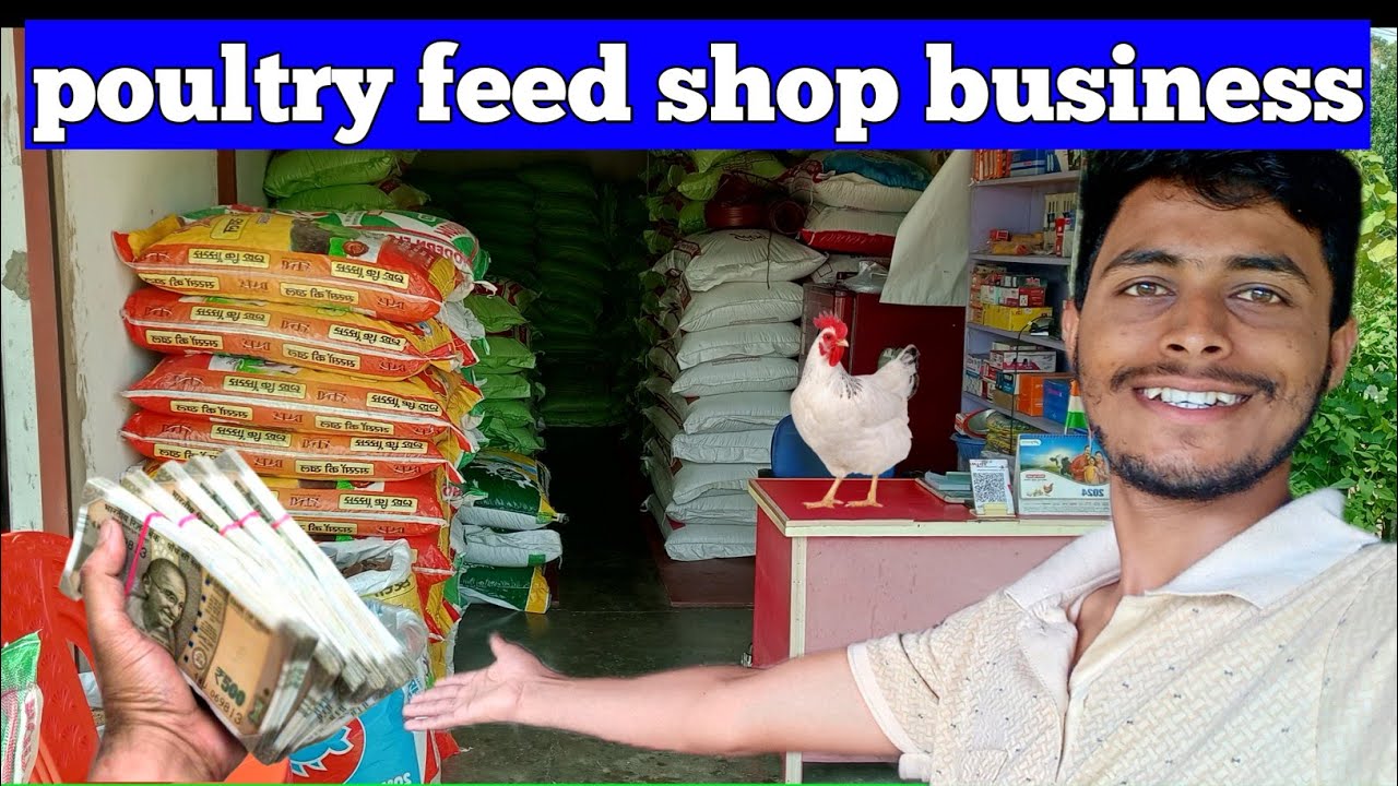 poultry feed shop business | poultry feed business - YouTube