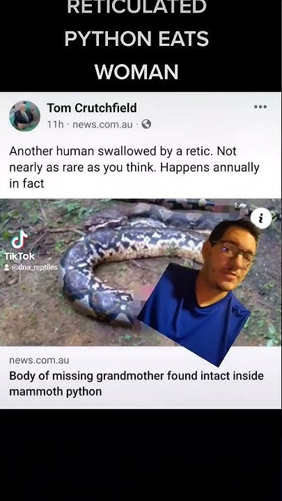 Python eats woman in Indonesia #snake #python #nature #educational ...