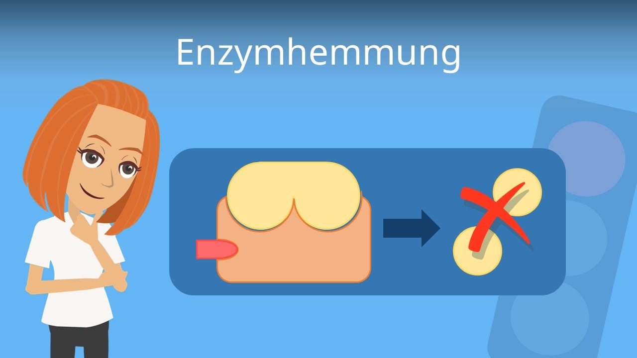 Enzymhemmung einfach erklärt: Kompetitive, Allosterische und ...
