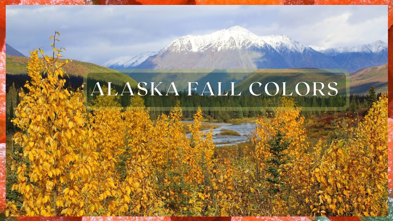 Alaska Fall Colors | Cinematic Video of Alaska in October | Autumn in ...