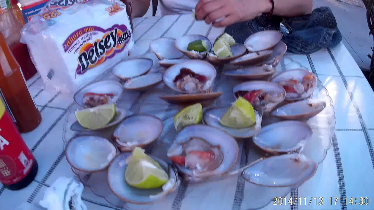 Chocolata Clams still moving after adding lime & salsa! - YouTube