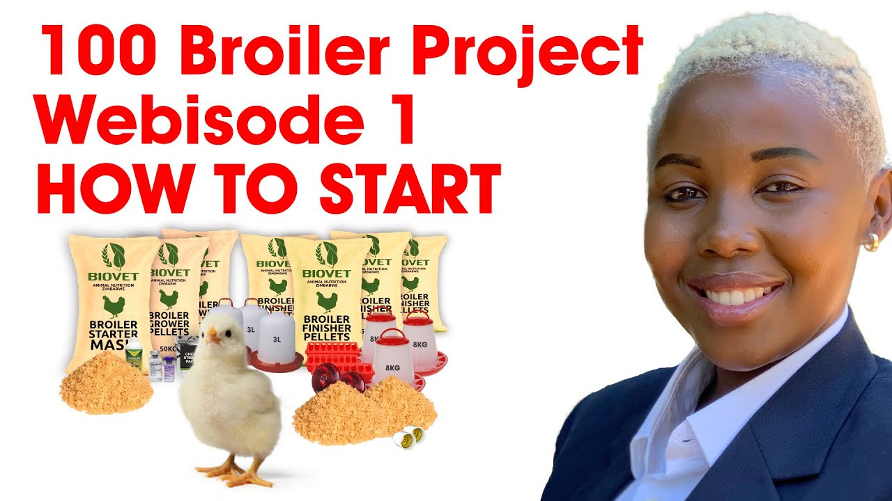 Ep 1 100 Broiler Project - Starting up - YouTube