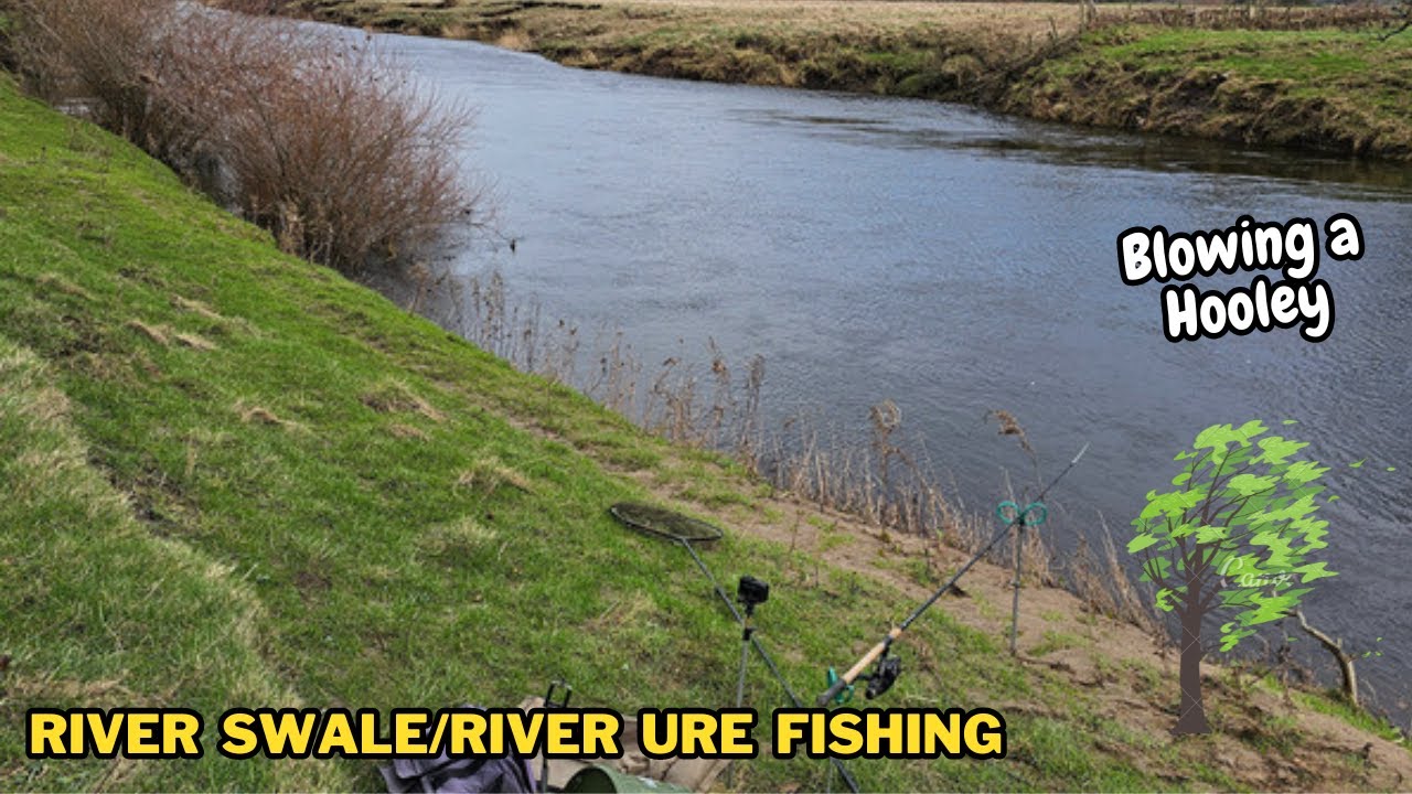 RIVER SWALE/RIVER URE FISHING BLOWING A HOOLEY JAN 2024 - YouTube