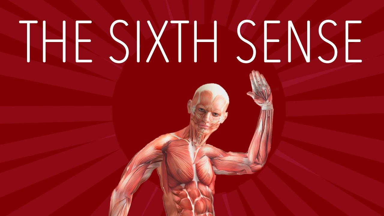 Your Sixth Sense - The Science of Proprioception - YouTube