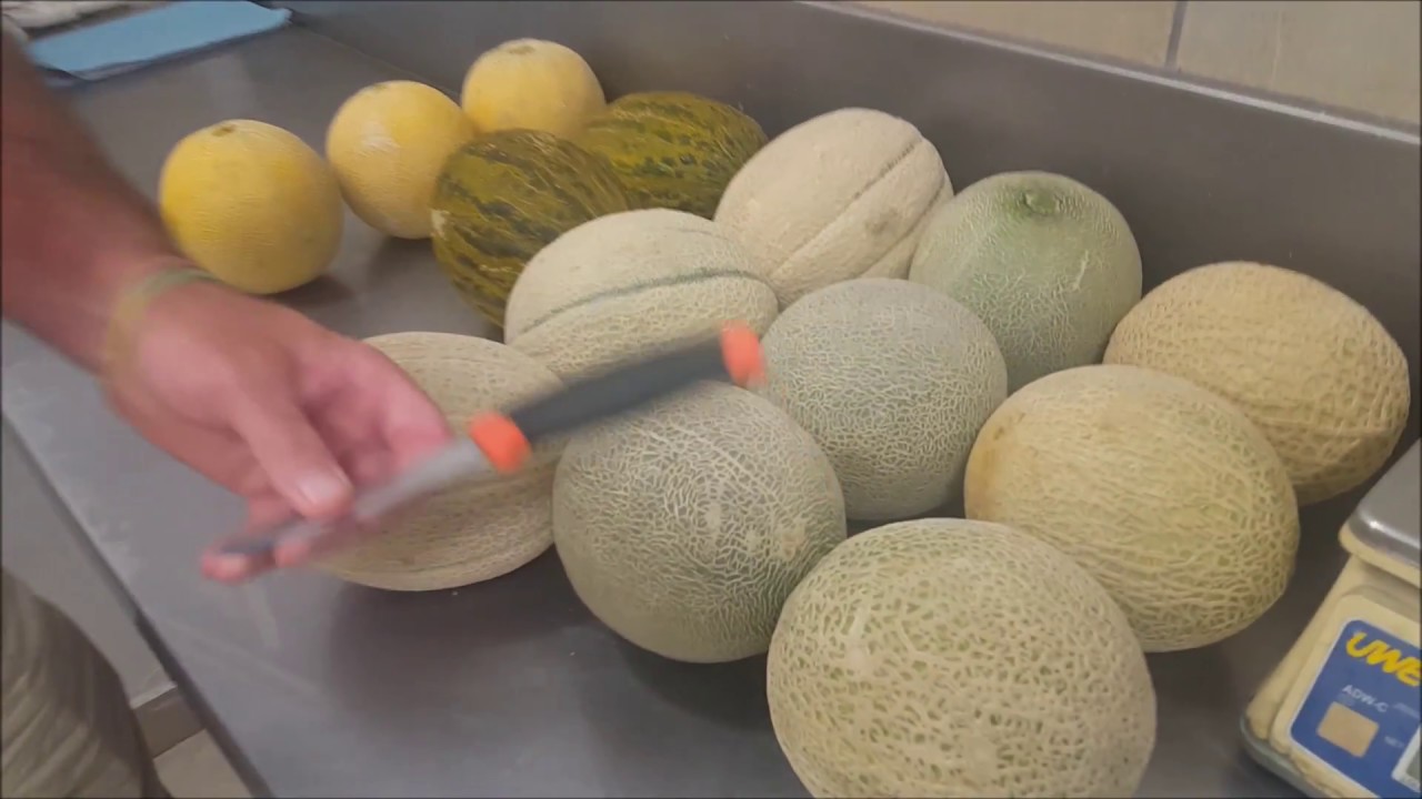 Different varieties of melons at Habata - YouTube
