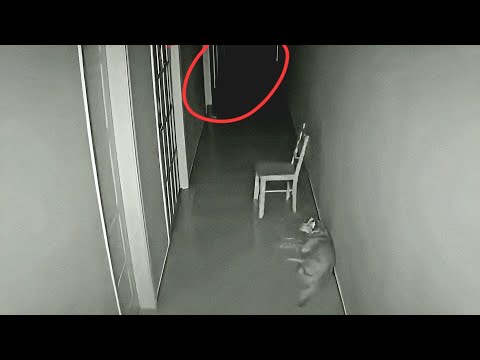 VIDEO 5 ZA KUTISHA ZILIZO REKODIWA NA CCTV  CAMERA. (Full HD4K  #thedarkworldswahili #thestorybook