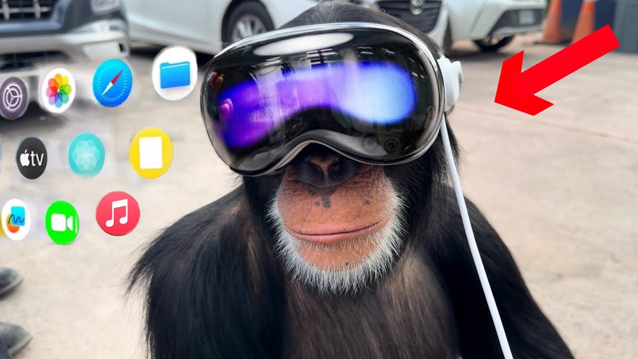I Put An Apple Vision Pro on a Monkey ! - YouTube