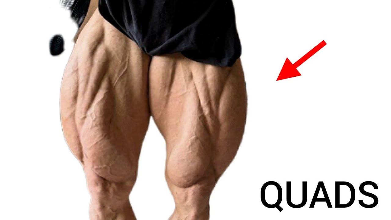 Complete Quads Hamstring and Calf Workout at Gym - YouTube