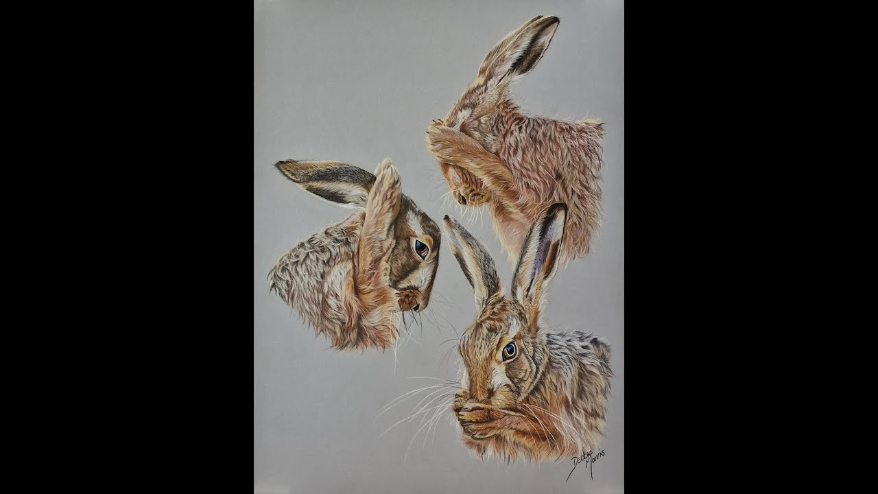 Three Wise Hares PART 2 YT - YouTube