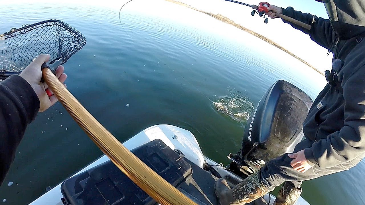 Unexpected TROPHY Fish Catch while Bass Fishing!!! - YouTube