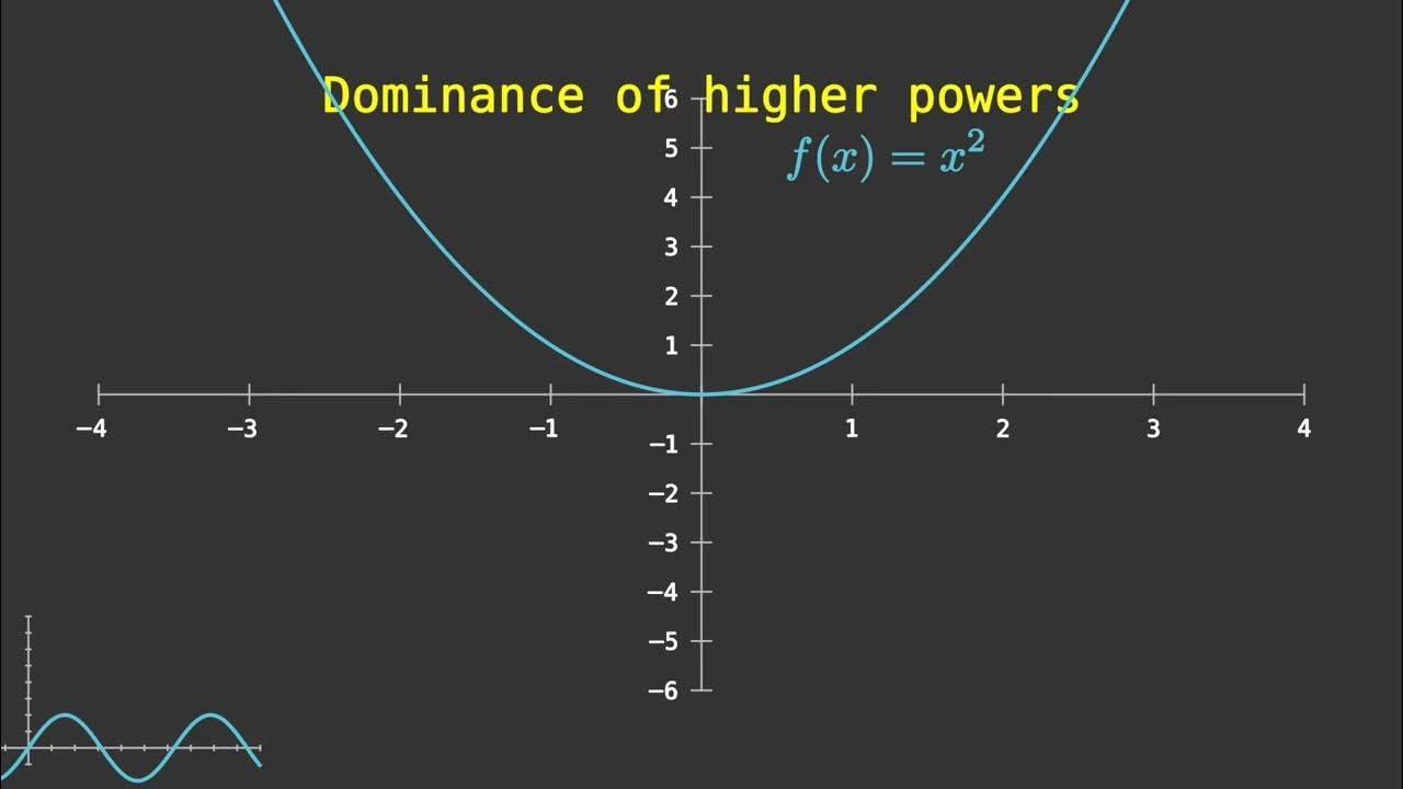 Polynomials and Rational Functions - YouTube