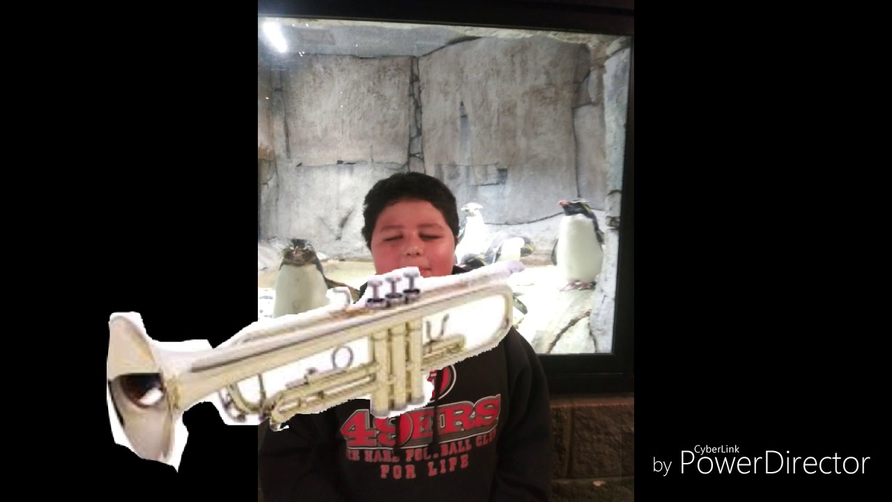 How to play mariachi "EL ray" trumpet - YouTube