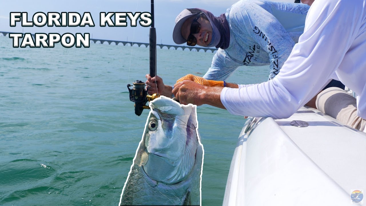 Florida Keys Tarpon Fishing (What It's Like To Charter Fish for Tarpon ...