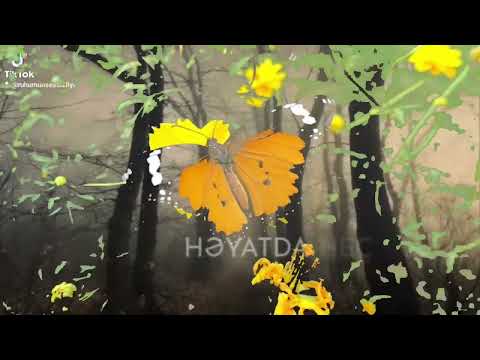 Cox menali ve deyerli sozler!