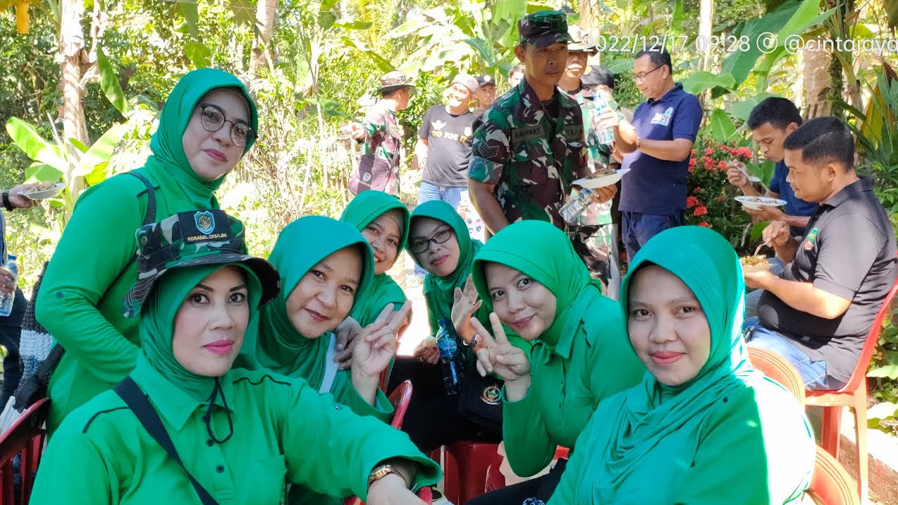 PAK DANDIM IKUT TERJUN ke sawah demplot padi (Koramil 1315 kodim ...