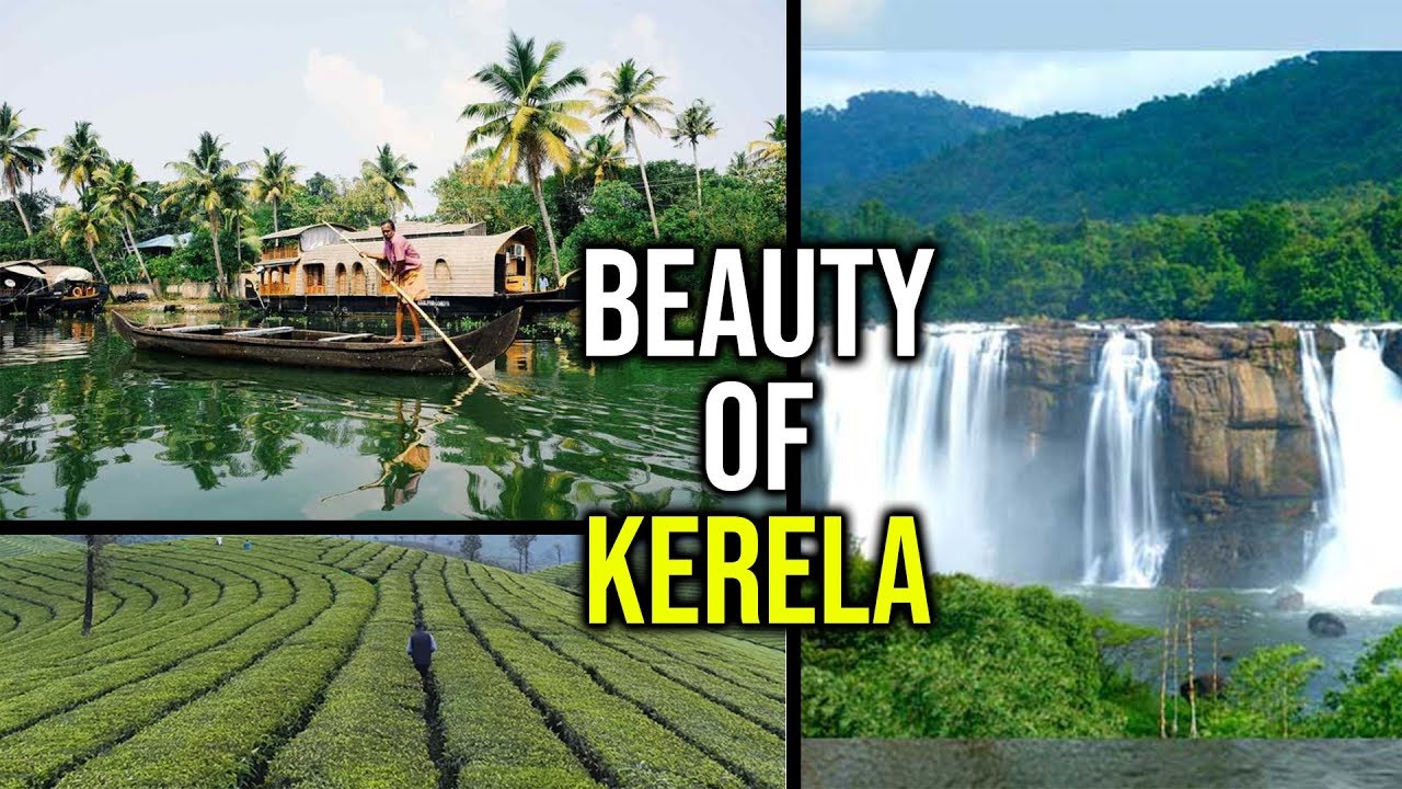 The beauty of Kerela- Mesmerizing scenes of Kerela, India - YouTube