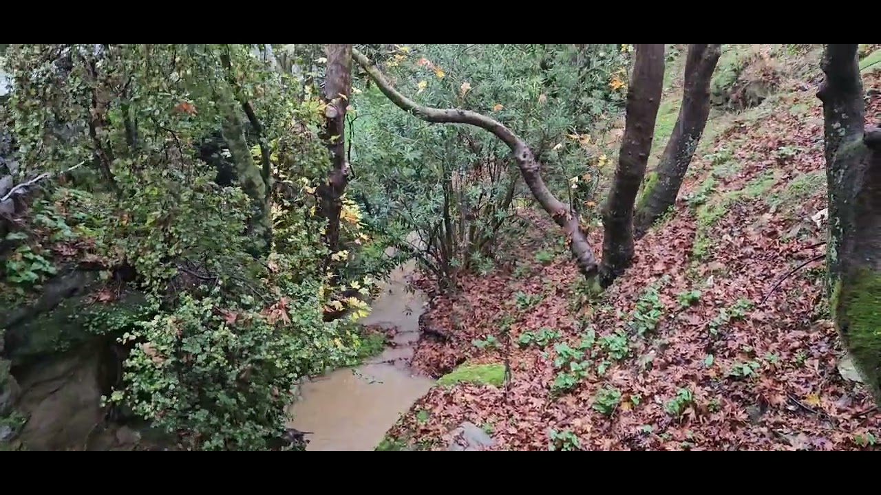 ΧΡΙΣΤΟΥΓΕΝΝΑ 26/12/24 ΣΤΟ ΒΡΟΧΕΡΟ ΔΑΝΑΚΟ ΝΑΞΟΥ ΒΟΛΤΑ ΣΤΗ ΒΡΥΣΗ - YouTube