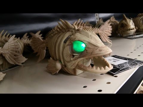 Piranha Skeleton | Halloween 2017