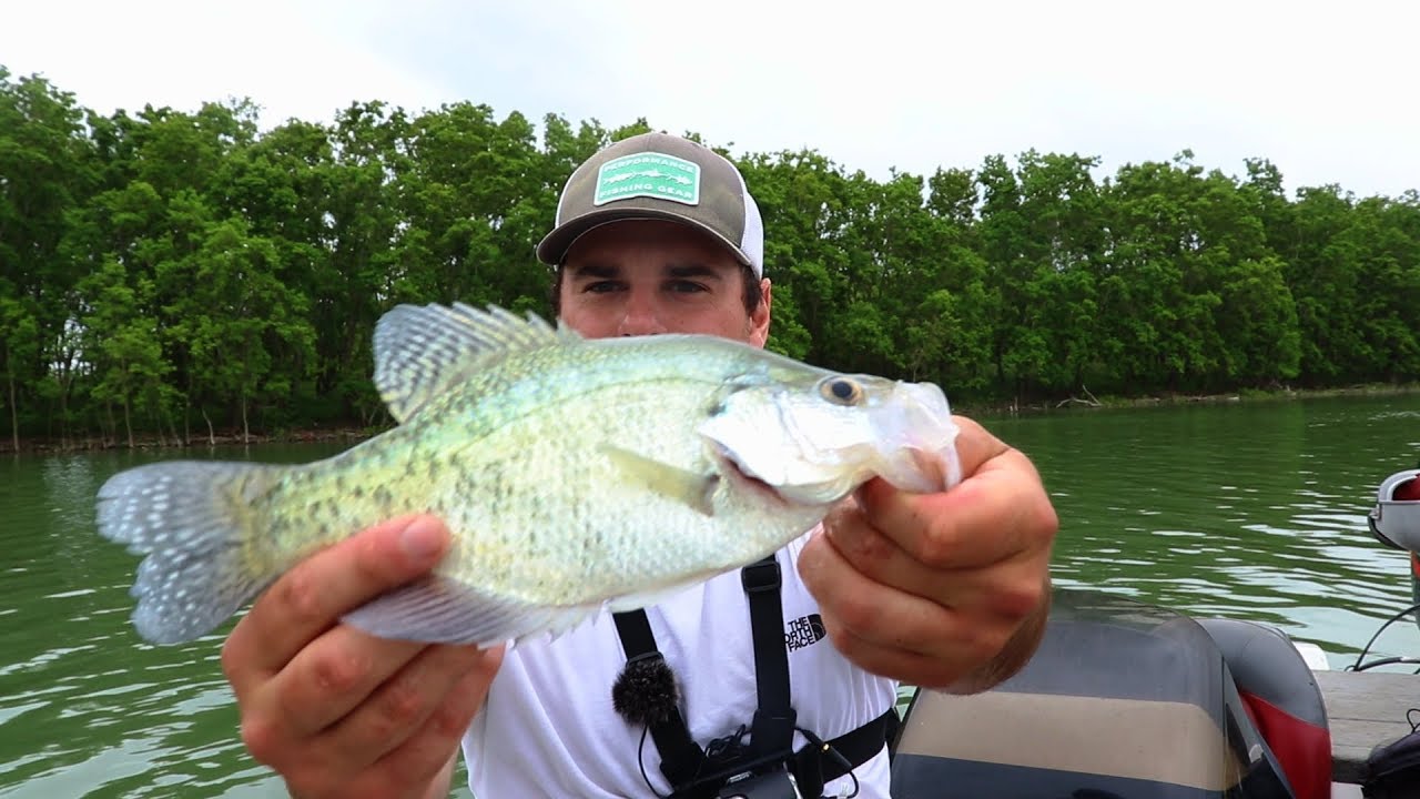 Vertically Jigging Trees for Post Spawn Crappie (Texas Fishing) - YouTube