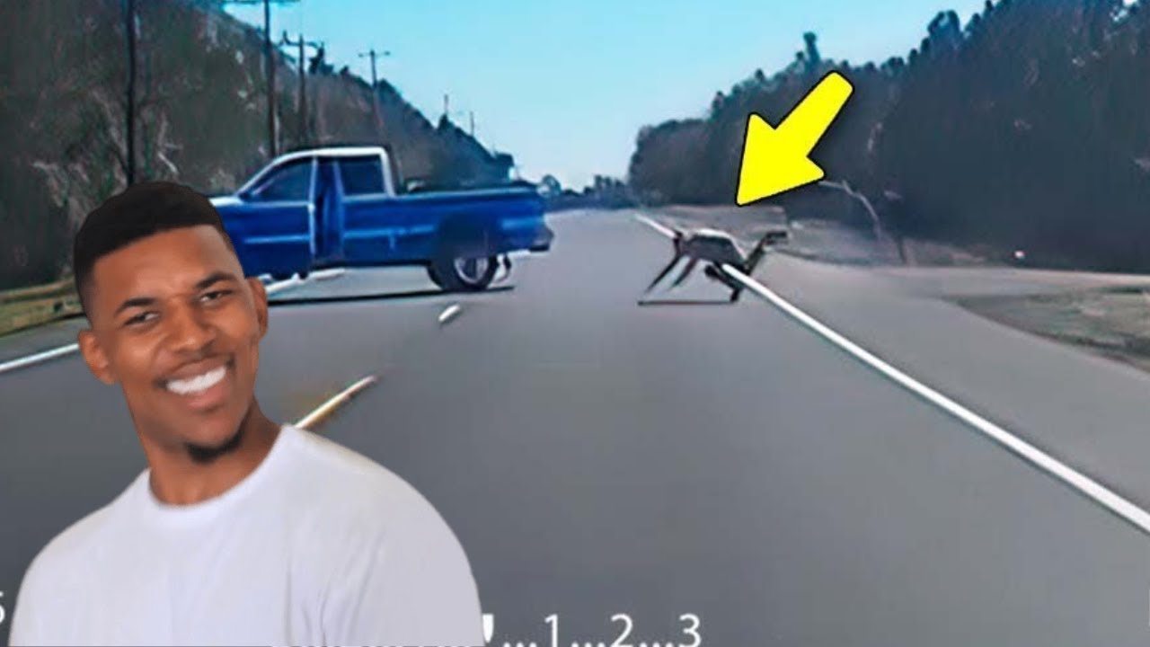 Idiots In Cars #65 | Car Crashes , Road Rage, Karma and Expensive Fails !! - YouTube