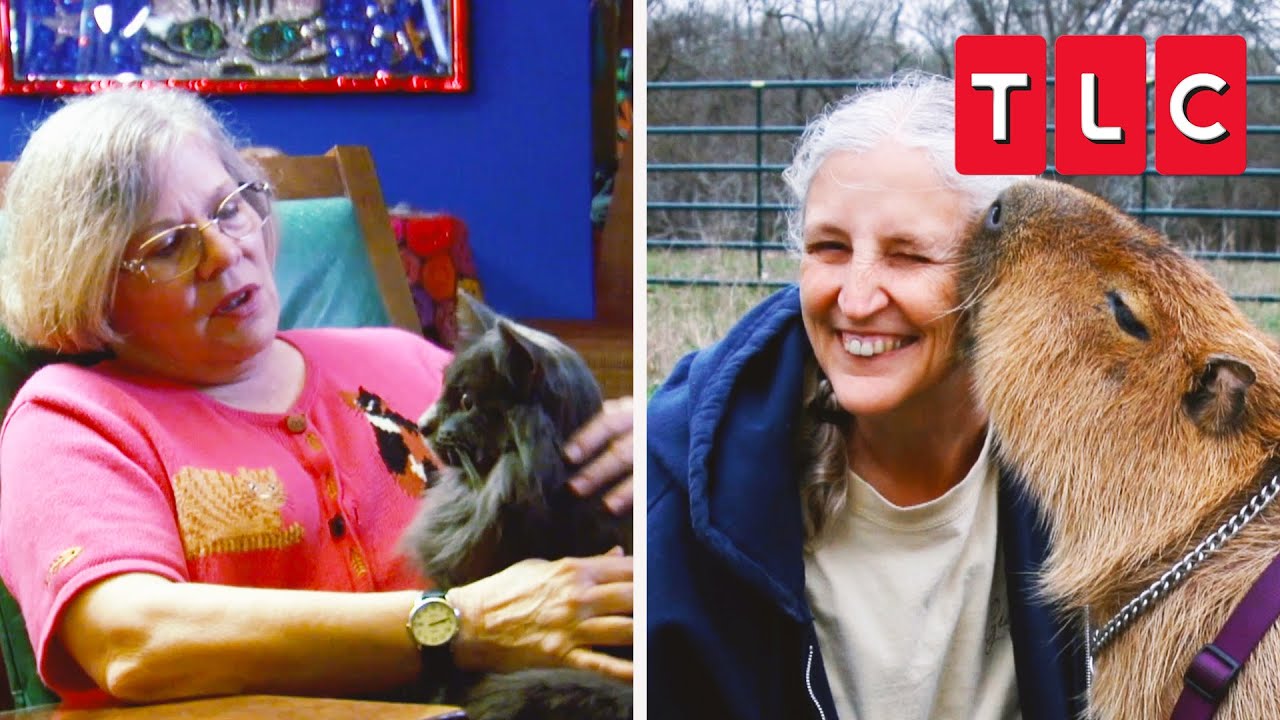 The Craziest Animal Obsessions from Season 1 | My Crazy Obsession | TLC ...