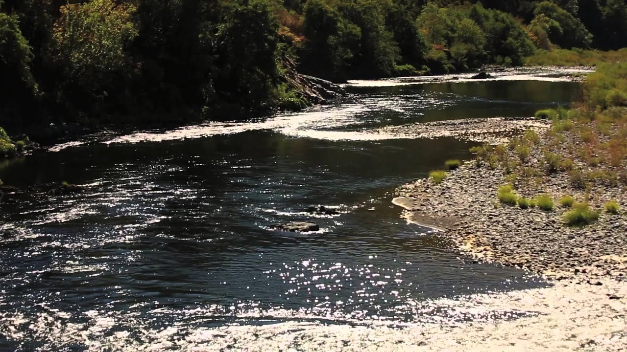 Sovereign's Water Trailer - YouTube