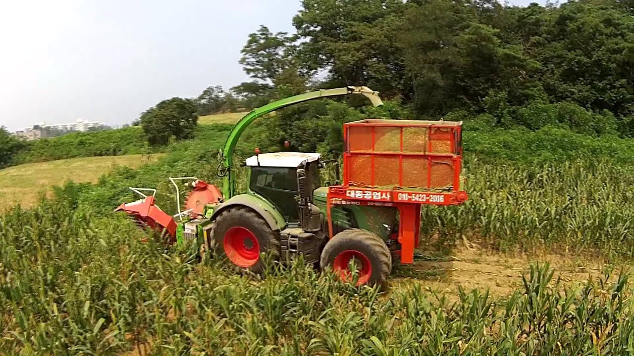 Maize Harvesting with fendt 930, lacotec, kemper and phantom 3(펜트 930 ...