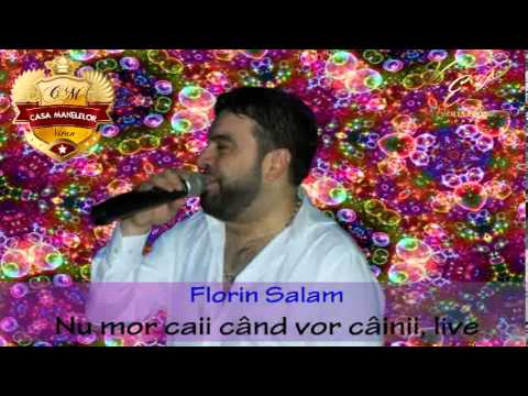 FLORIN SALAM - NU MOR CAII CAND VOR CAINII (CASA MANELELOR), LIVE